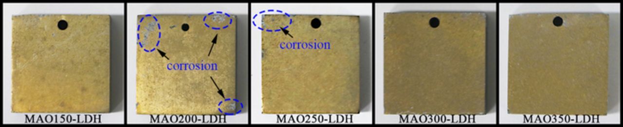 Effect of Micro-Arc Oxidation Coatings Formed at Different Voltages on ...