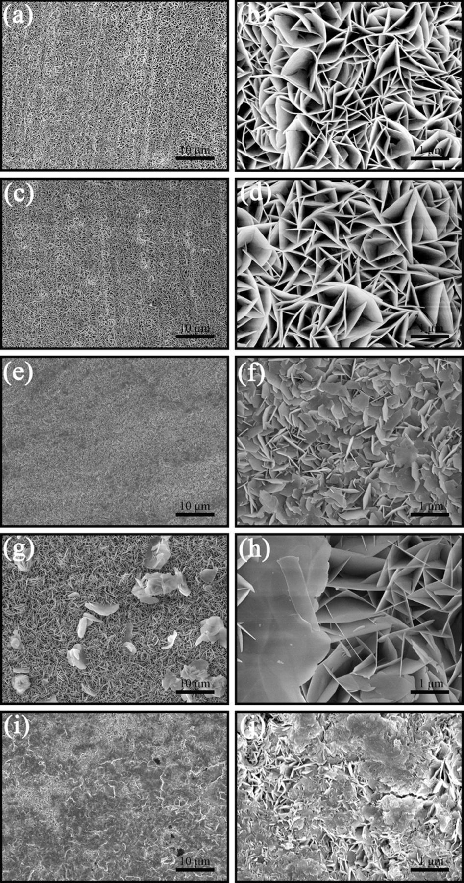 Effect of Micro-Arc Oxidation Coatings Formed at Different Voltages on ...