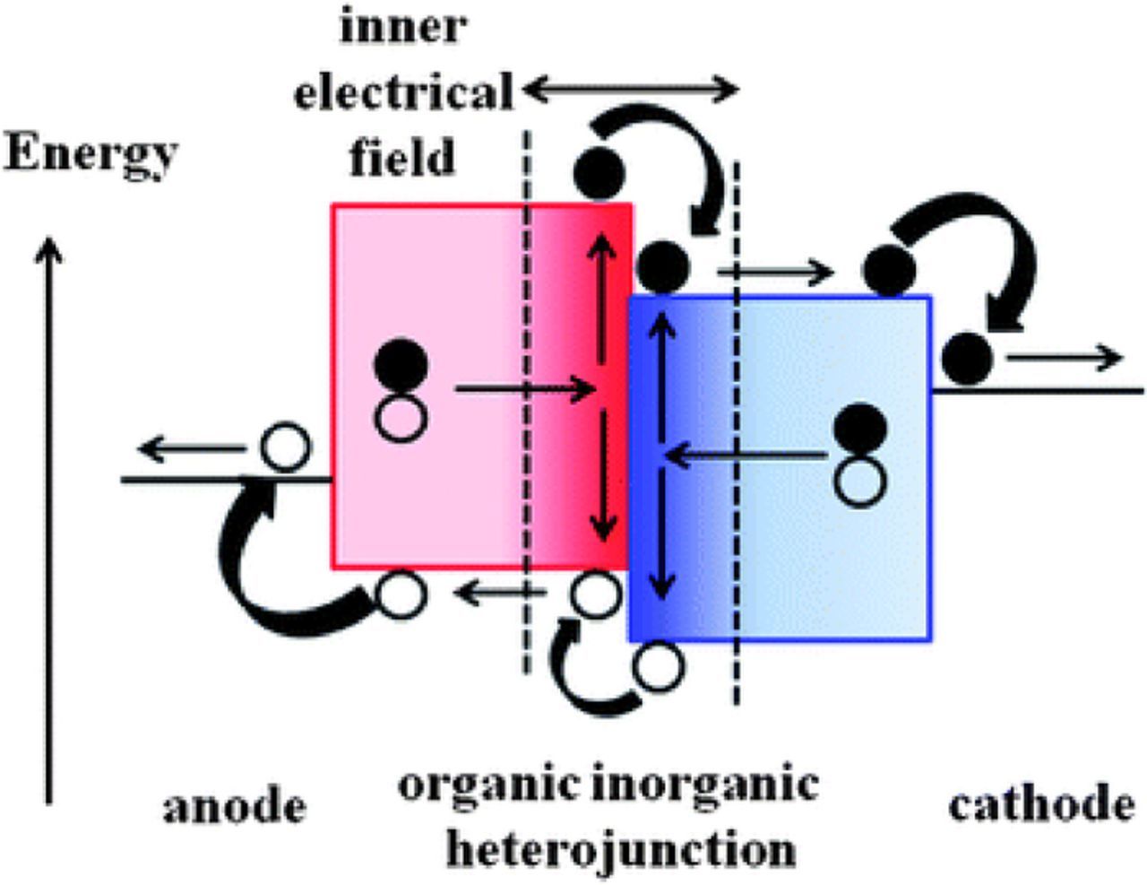 Review—Organic-Inorganic Hybrid Functional Materials: An Integrated ...