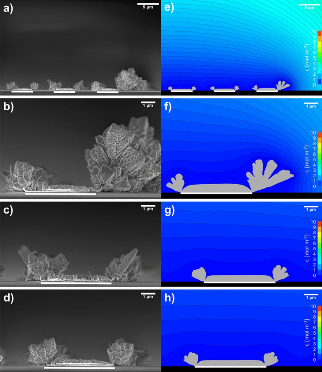 Modeling of Dendrite Formation as a Consequence of Diffusion-Limited ...