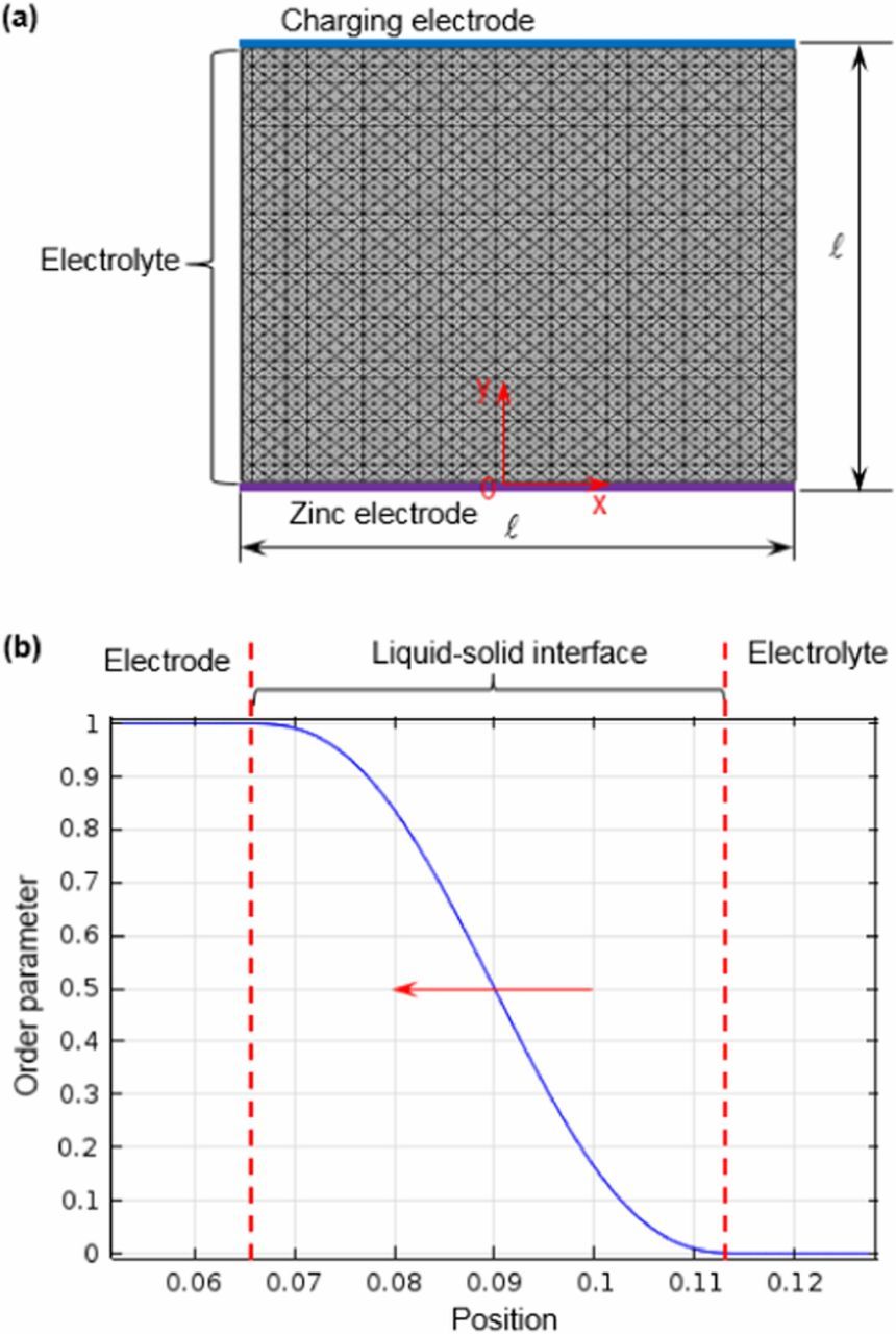 A Phase-Field Model of Dendrite Growth of Electrodeposited Zinc ...
