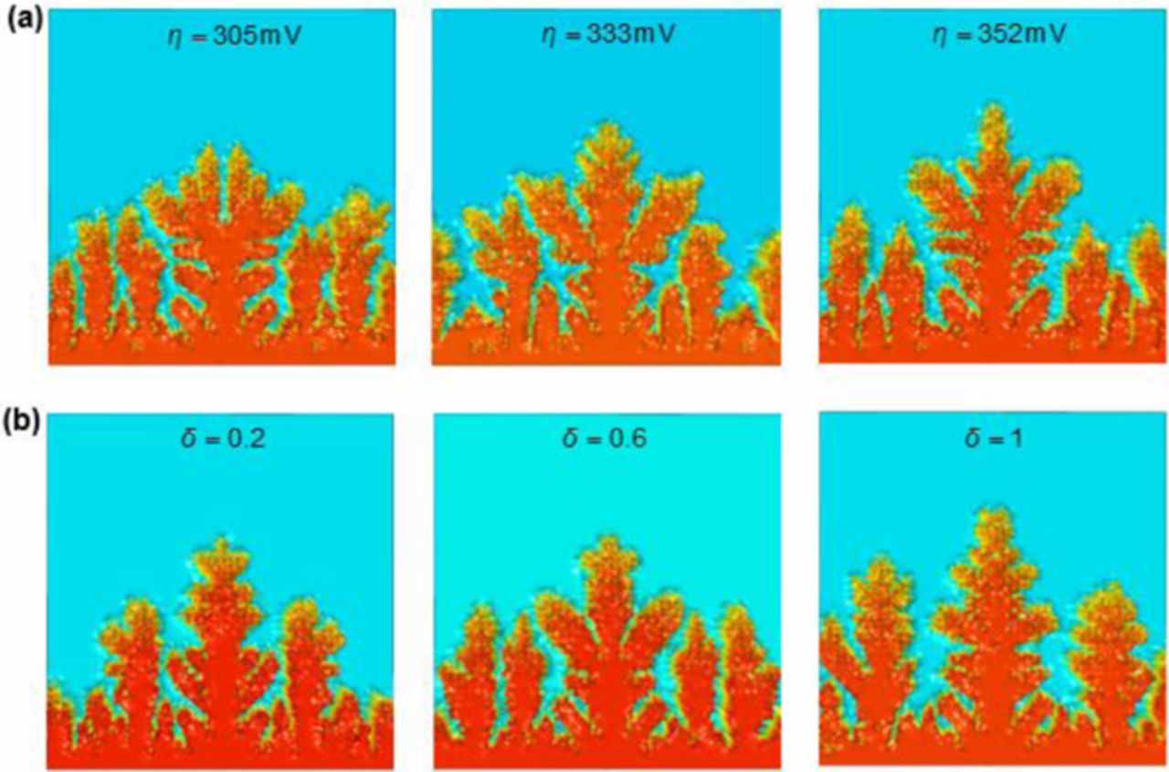 A Phase-Field Model of Dendrite Growth of Electrodeposited Zinc ...