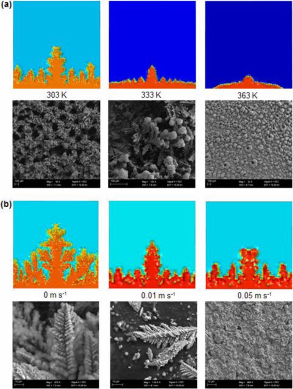 A Phase-Field Model of Dendrite Growth of Electrodeposited Zinc ...