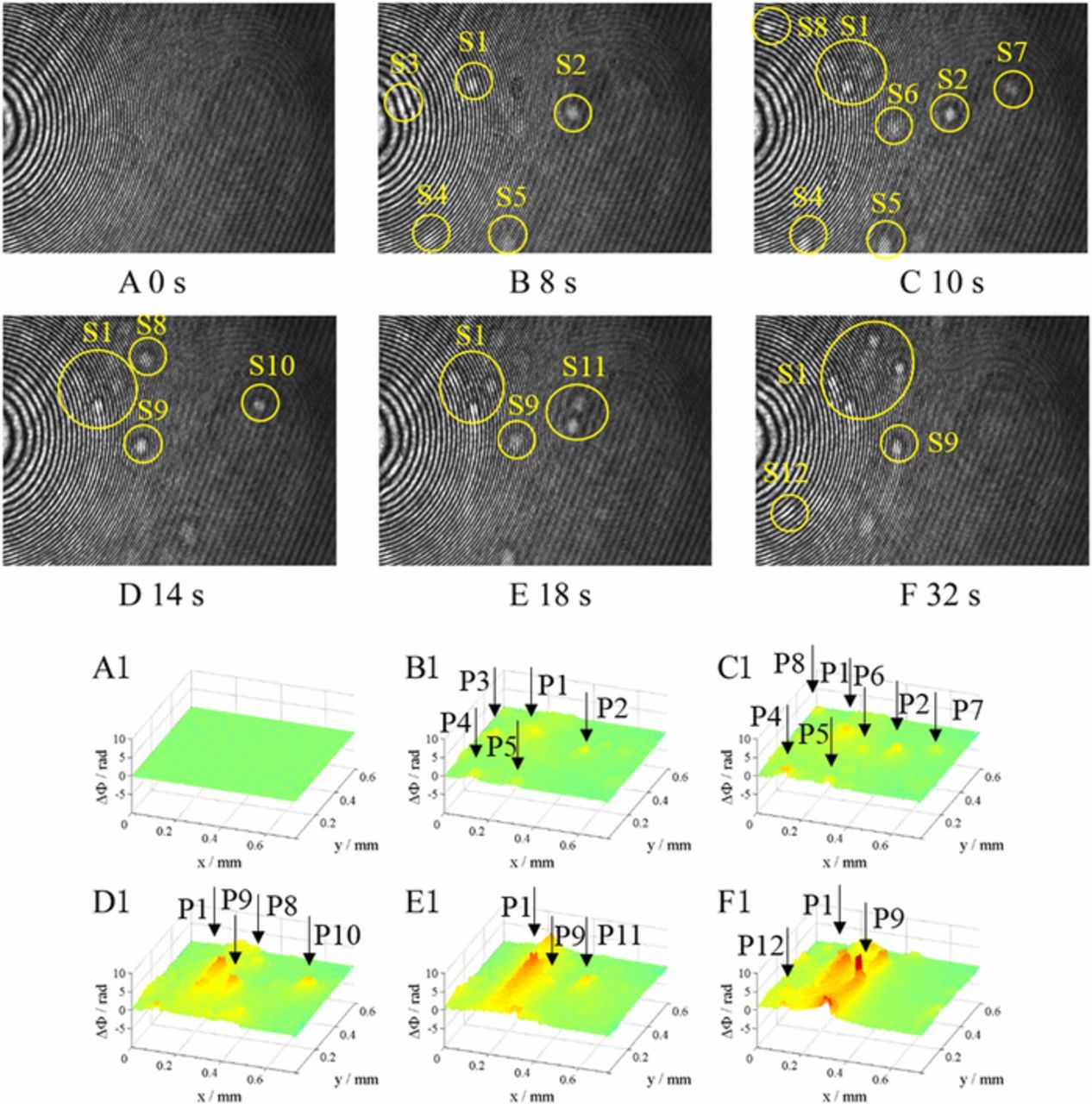 In Situ Monitoring of Pitting Corrosion on Stainless Steel with Digital ...