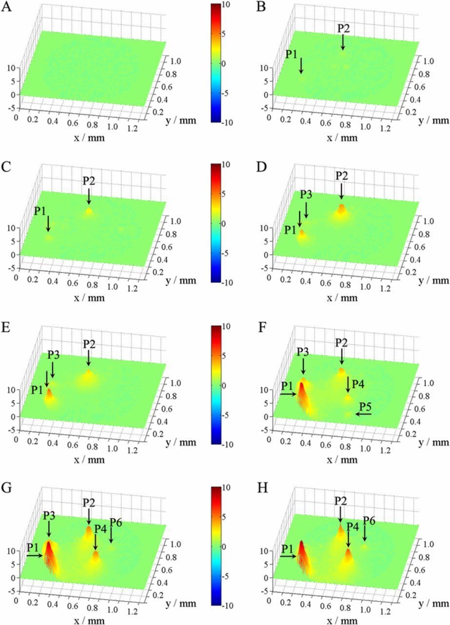 In Situ Monitoring of Pitting Corrosion on Stainless Steel with Digital ...