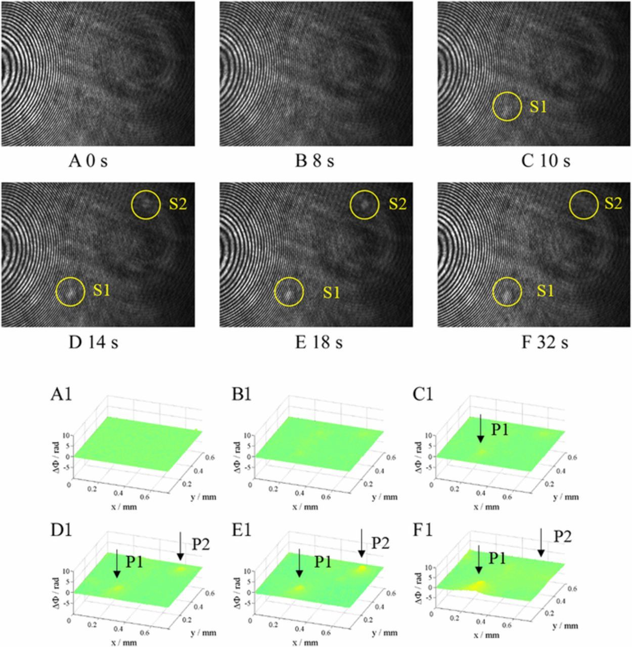 In Situ Monitoring of Pitting Corrosion on Stainless Steel with Digital ...