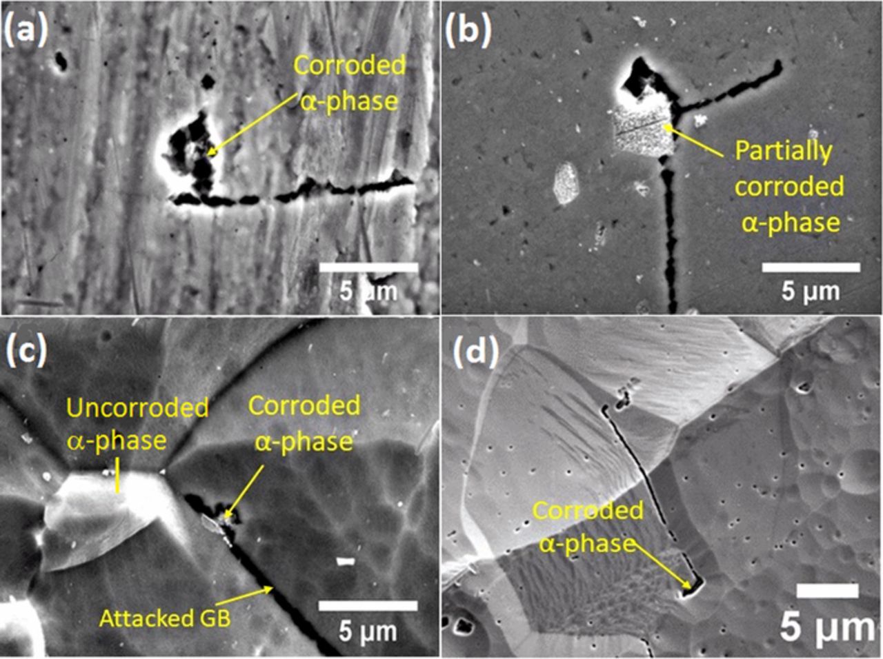 Progress in Understanding Initiation of Intergranular Corrosion on ...