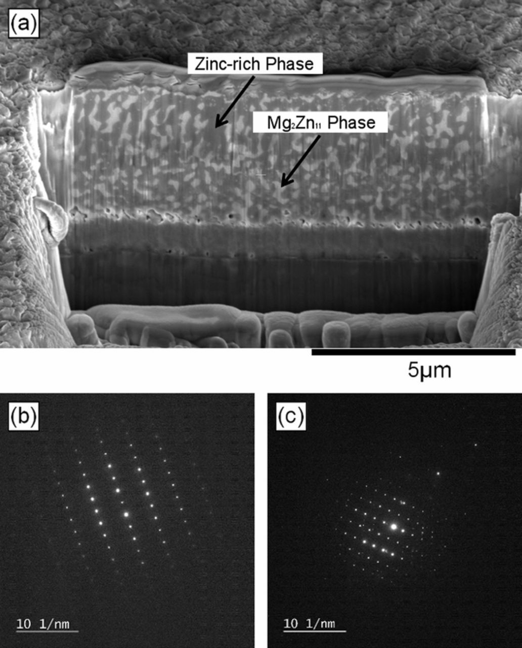 Studying the Influence of Mg Content on the Microstructure and ...