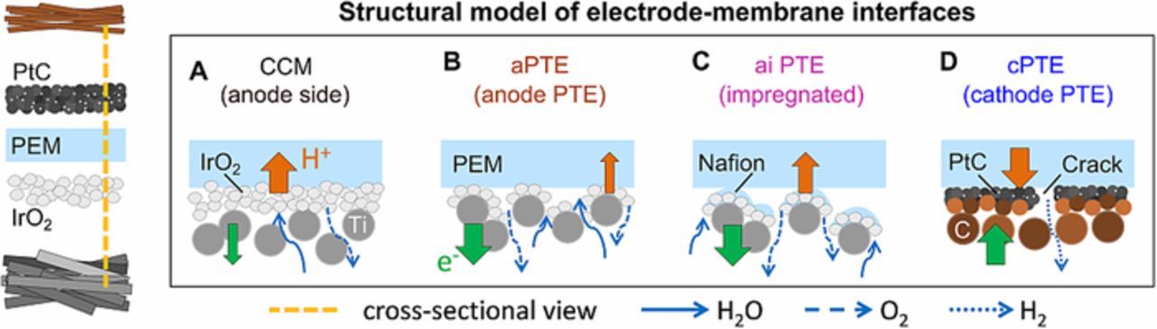 From Catalyst Coated Membranes to Porous Transport Electrode Based ...