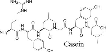 Casein from Bovine Milk as a Binder for Silicon Based Electrodes ...