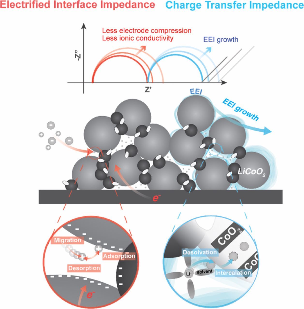 The Effect of Electrode-Electrolyte Interface on the Electrochemical ...