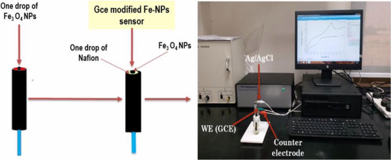 Highly Sensitive and Selective Electrochemical Sensor for Detection of ...