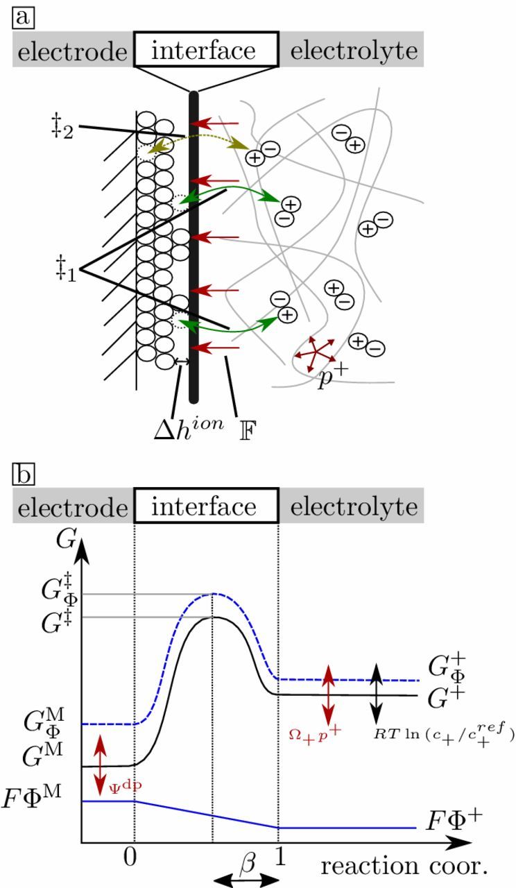 An Extended Formulation of Butler-Volmer Electrochemical Reaction ...