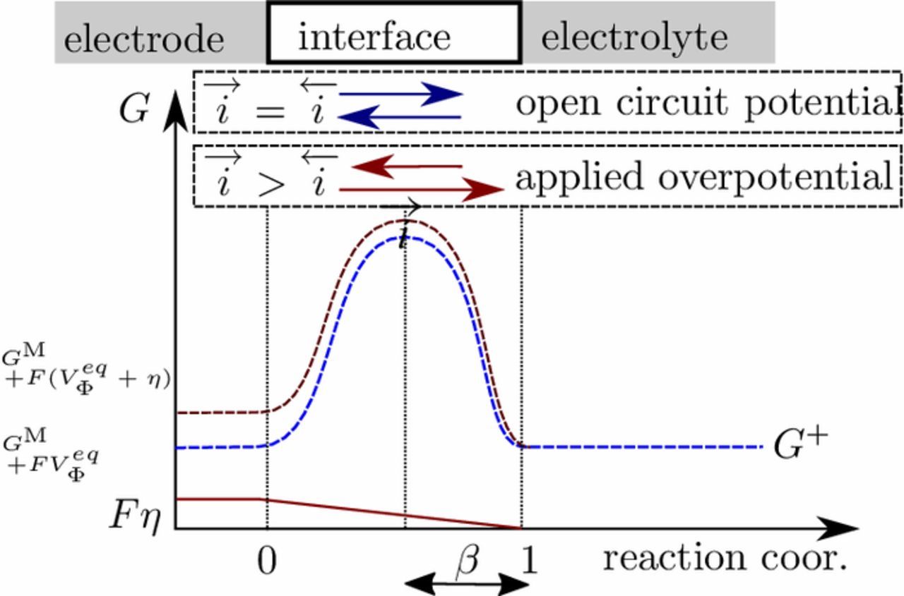 An Extended Formulation of Butler-Volmer Electrochemical Reaction ...