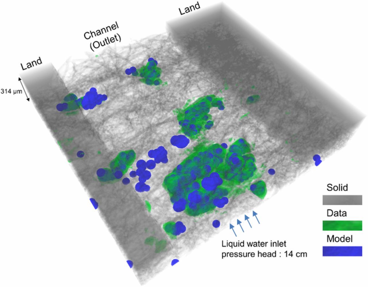 Direct Simulations of Pore-Scale Water Transport through Diffusion ...