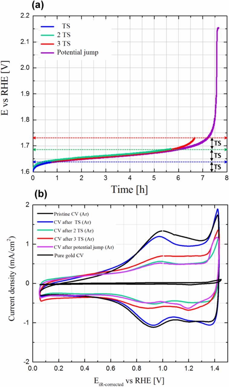 OER Catalyst Stability Investigation Using RDE Technique: A Stability ...