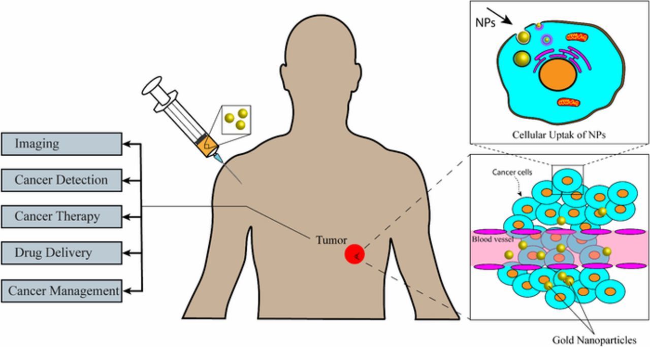Perspective—Bio-Nano-Interaction in Treatment and Management of Cancer ...