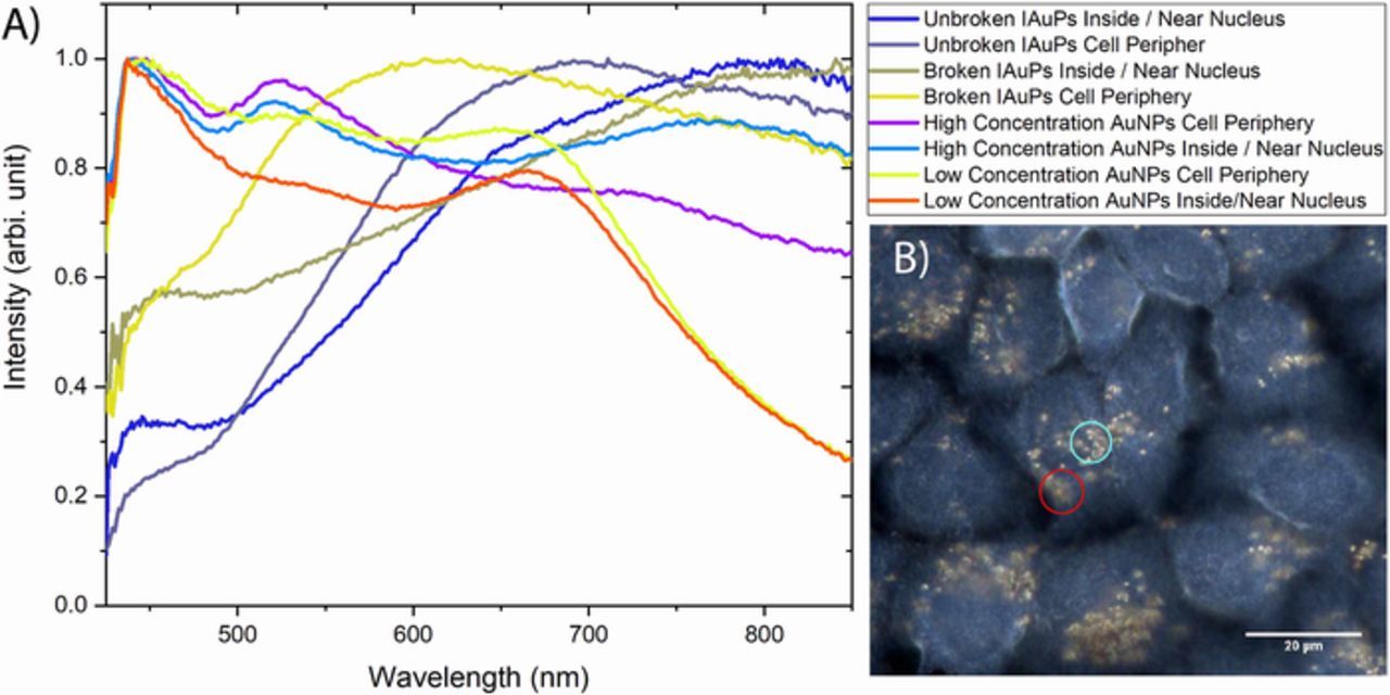 Perspective—Bio-Nano-Interaction in Treatment and Management of Cancer ...