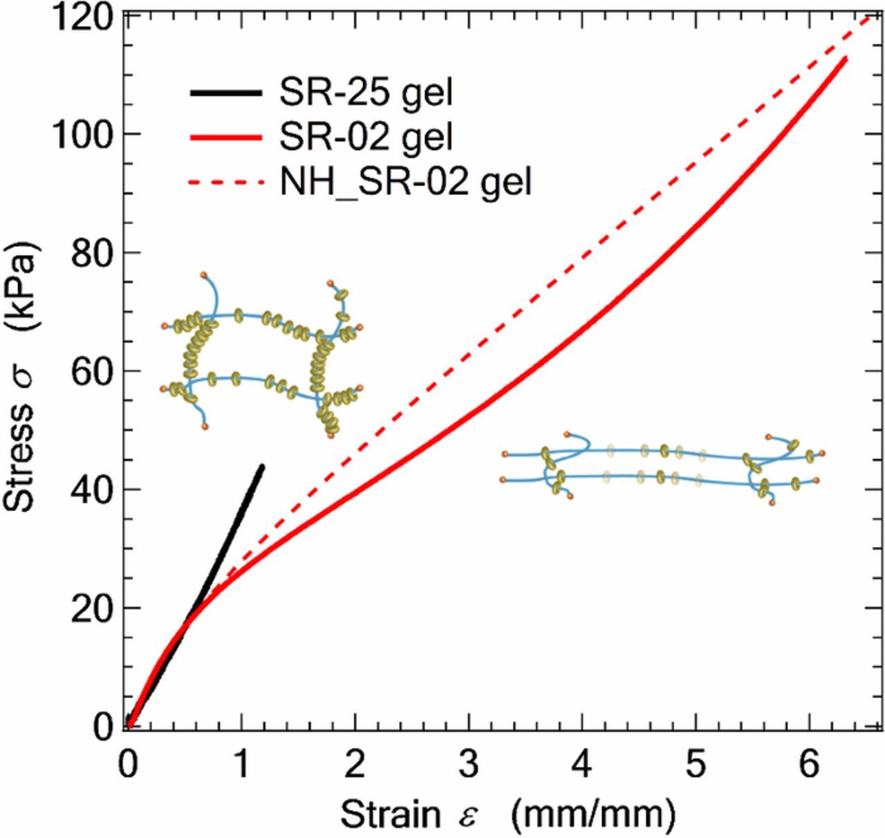 Direct Observation of Large Deformation and Fracture Behavior at the ...
