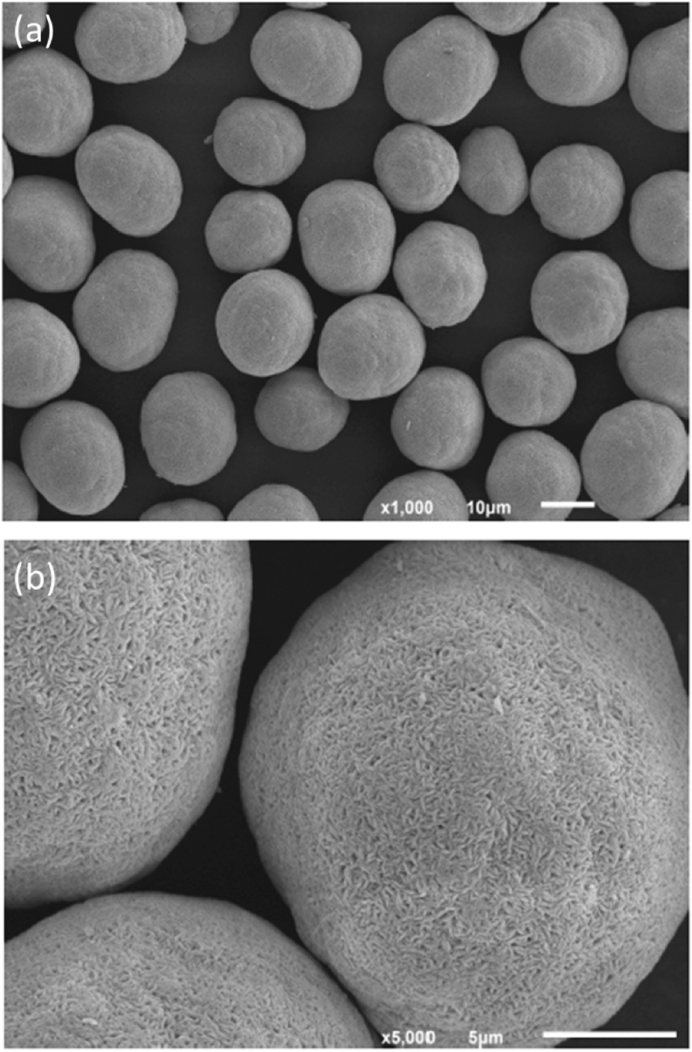 In Situ XRD Studies During Synthesis of Single-Crystal LiNiO2, LiNi0 ...