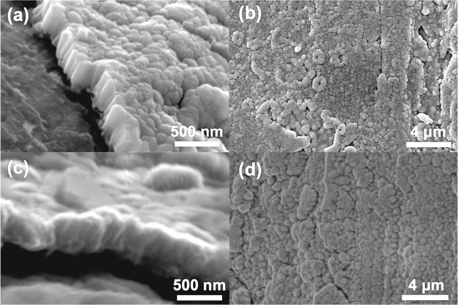 Inexpensive and Efficient Alkaline Water Electrolyzer with Robust Steel ...