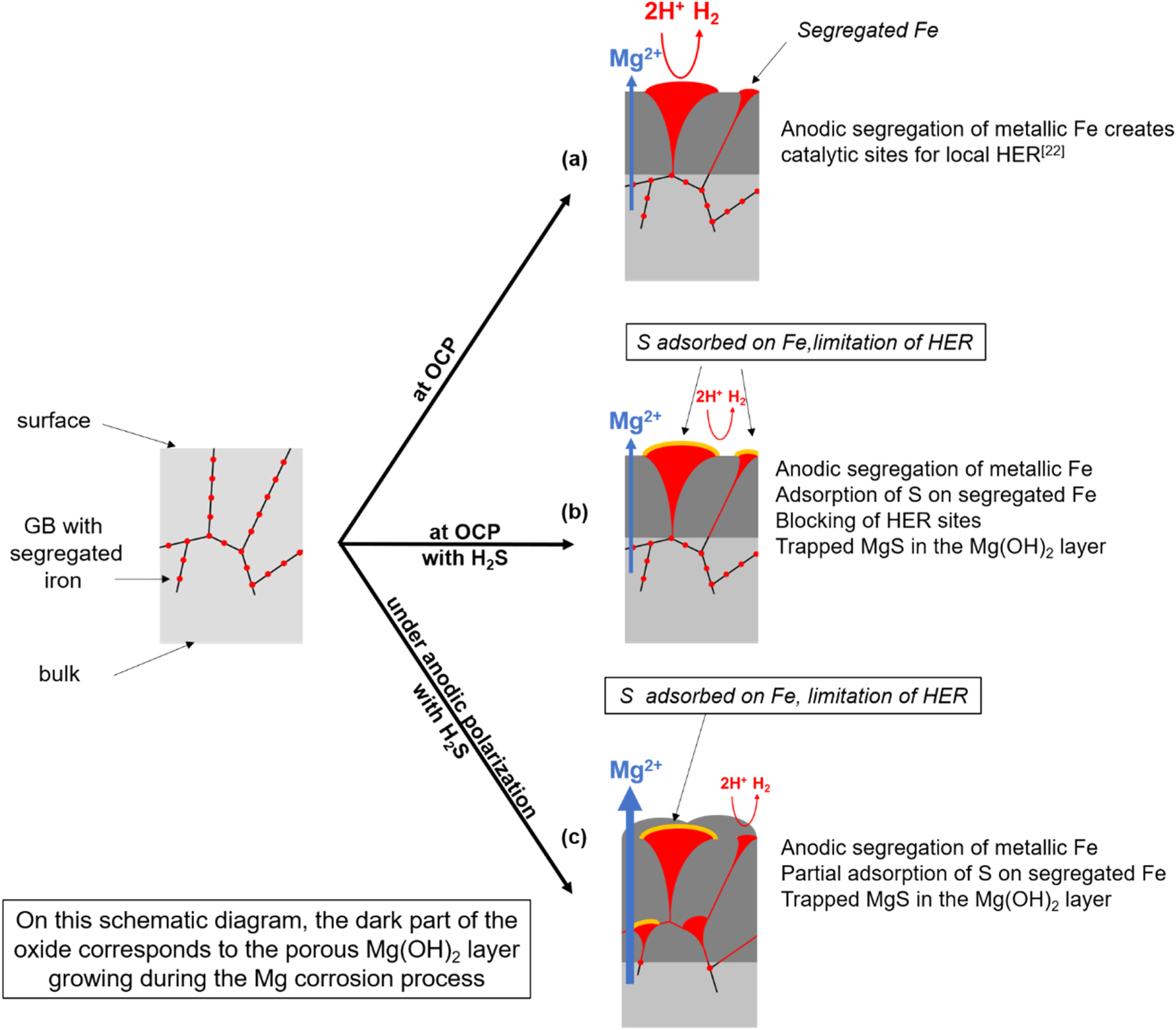 Inhibition of Mg Corrosion by Sulfur Blocking of the Hydrogen Evolution ...