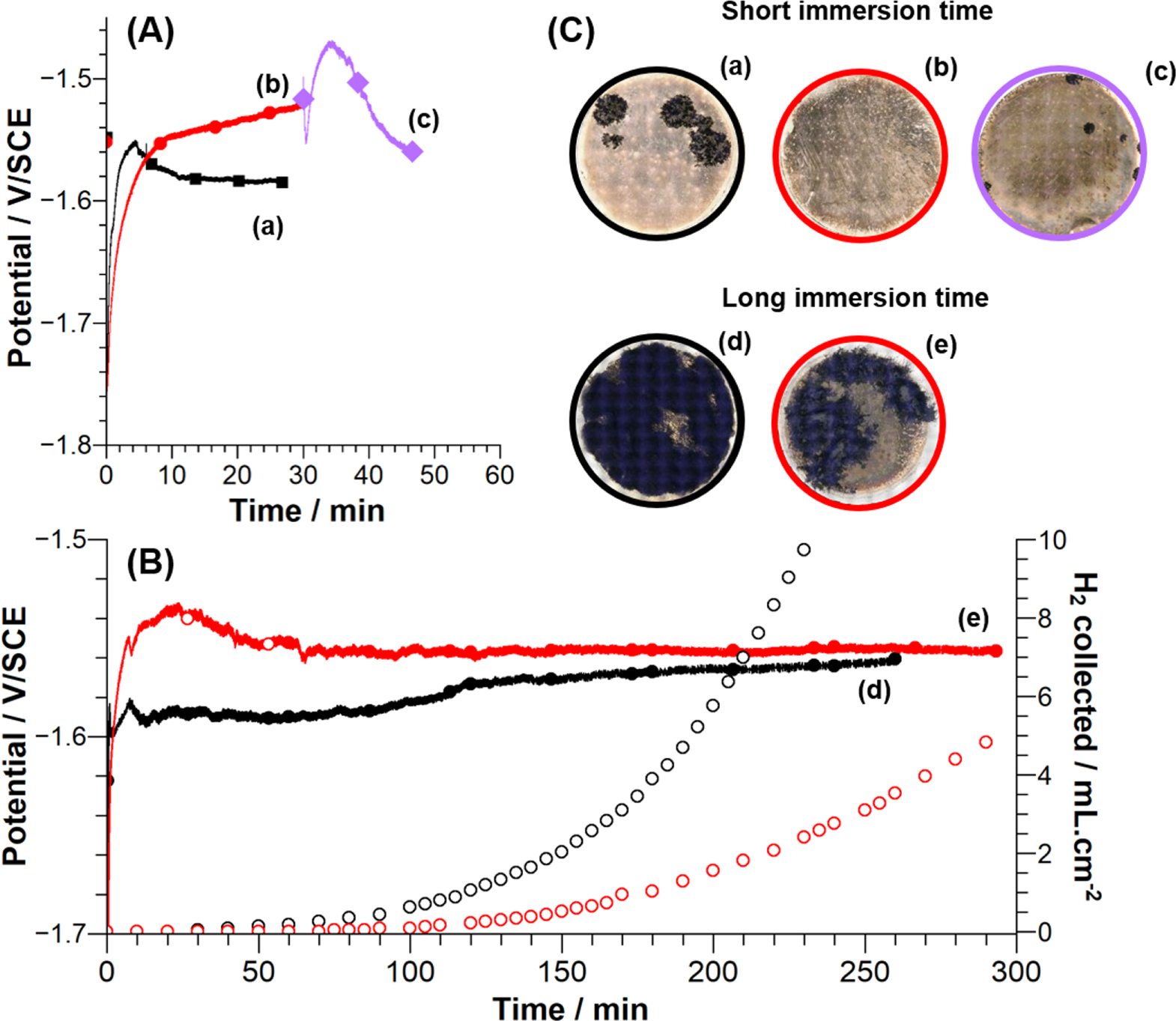 Inhibition of Mg Corrosion by Sulfur Blocking of the Hydrogen Evolution ...