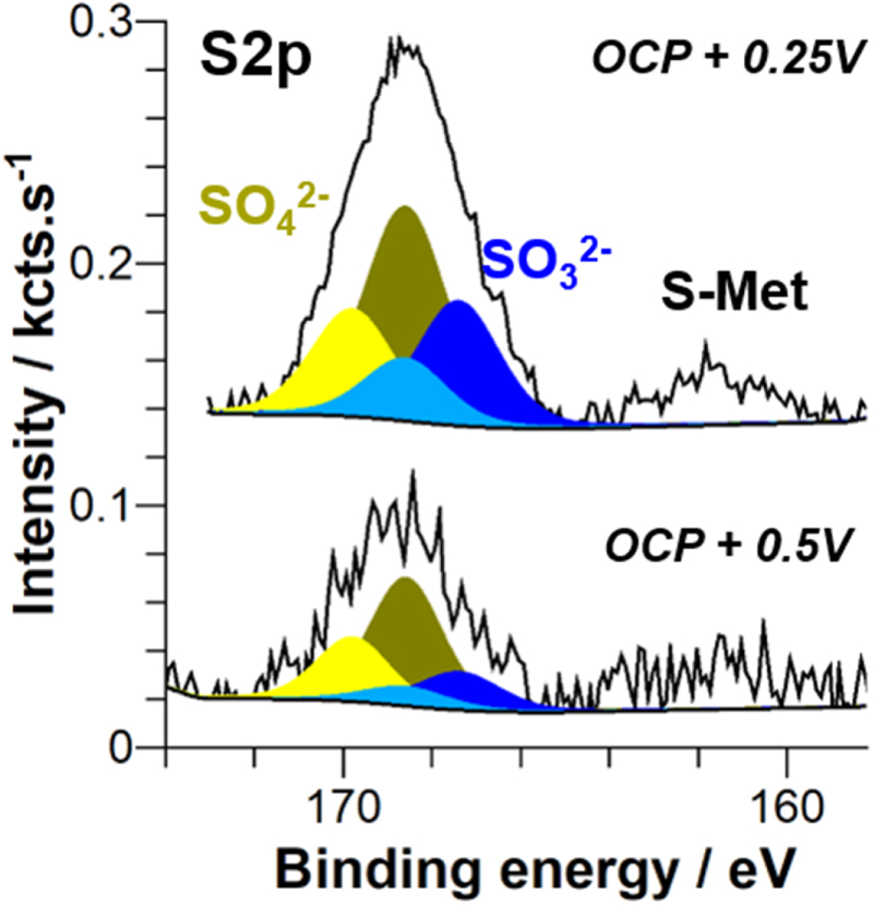 Inhibition of Mg Corrosion by Sulfur Blocking of the Hydrogen Evolution ...
