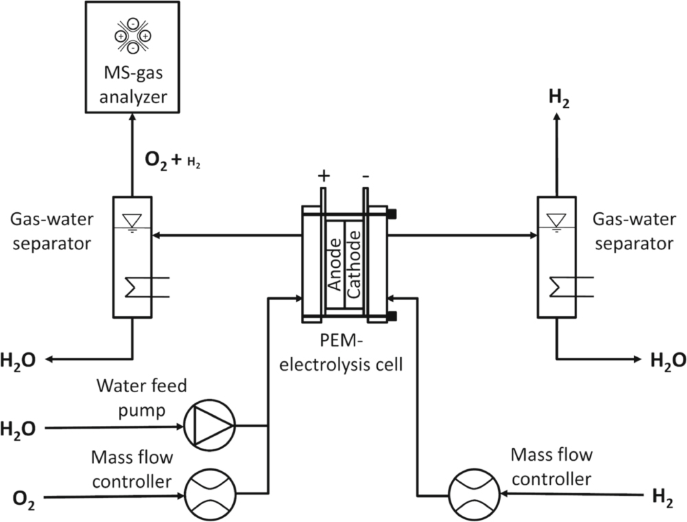 Analysis of Gas Permeation Phenomena in a PEM Water Electrolyzer ...