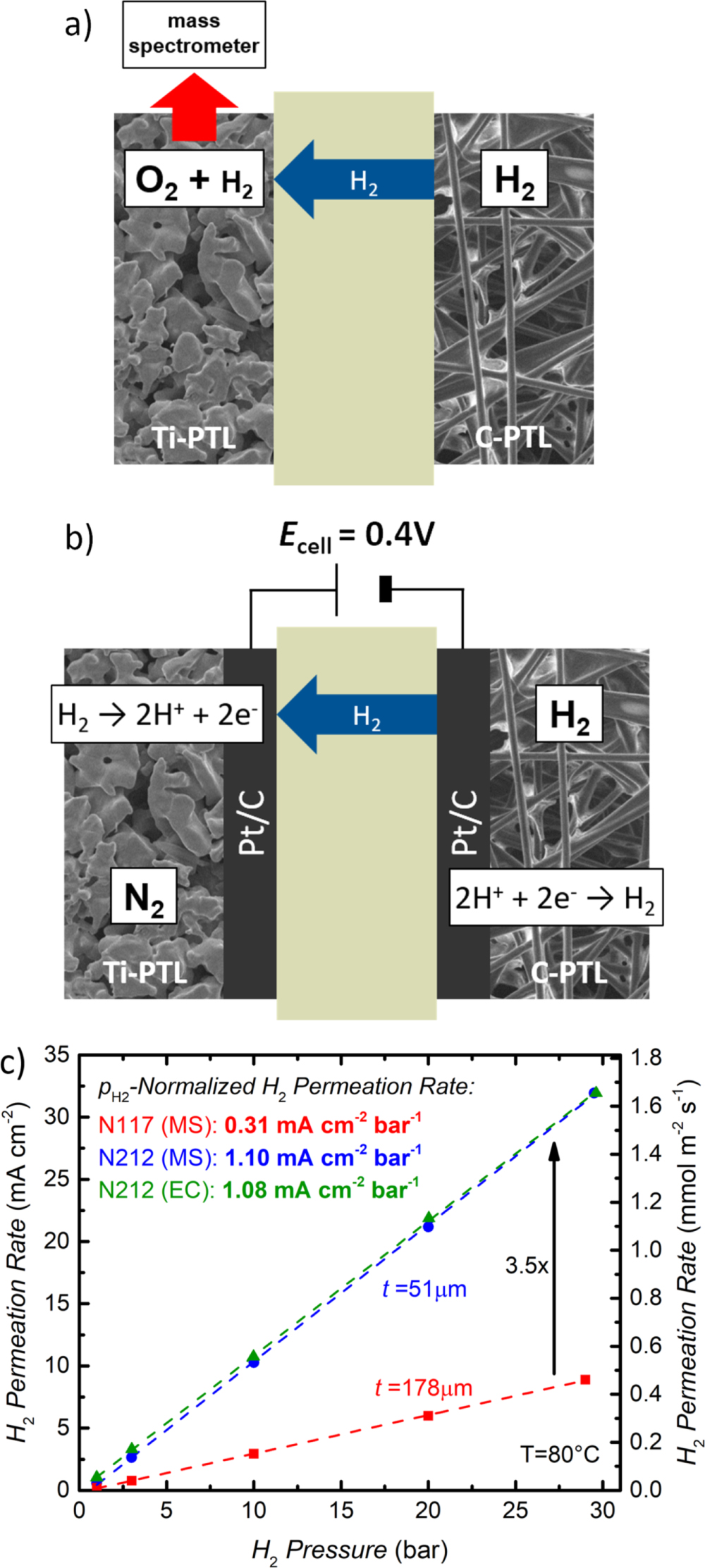 Analysis of Gas Permeation Phenomena in a PEM Water Electrolyzer ...