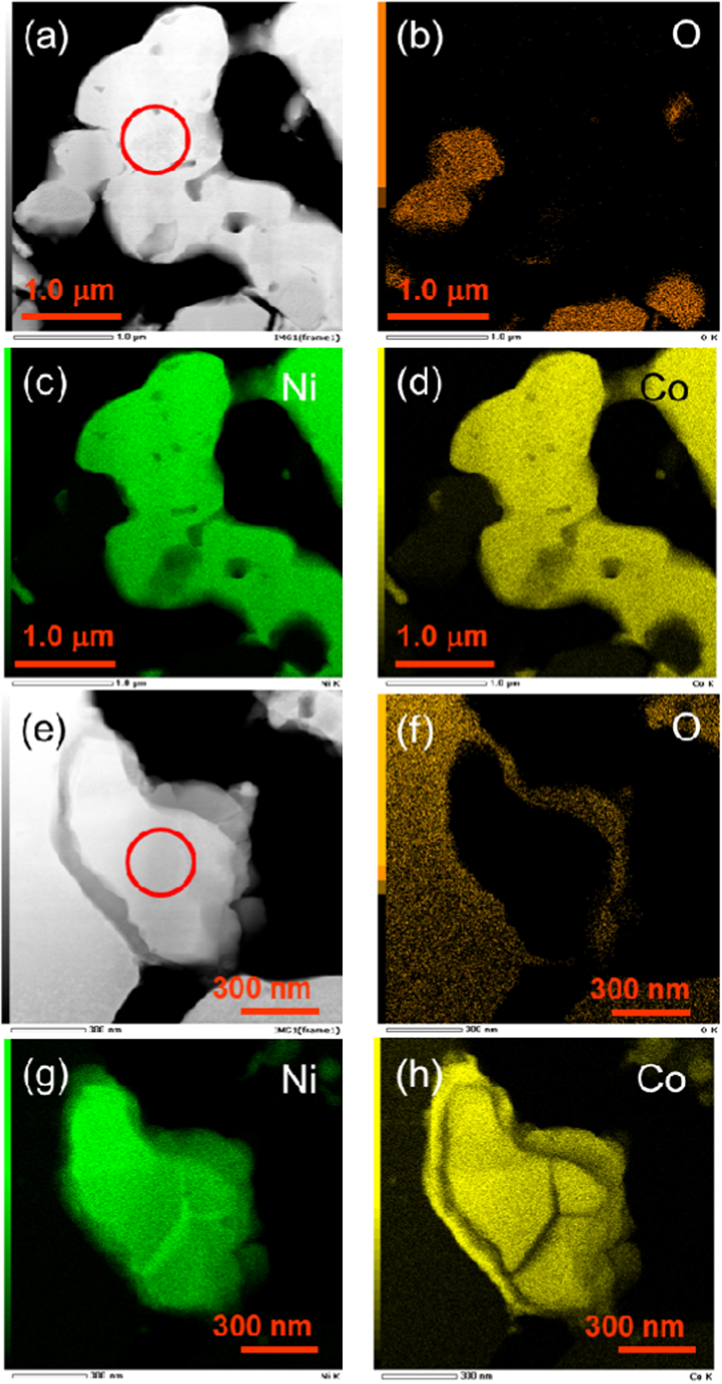 Improved Redox Cycling Durability in Alternative Ni Alloy-Based SOFC ...