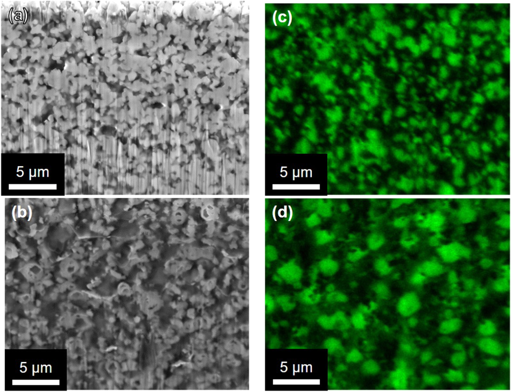 Improved Redox Cycling Durability in Alternative Ni Alloy-Based SOFC ...