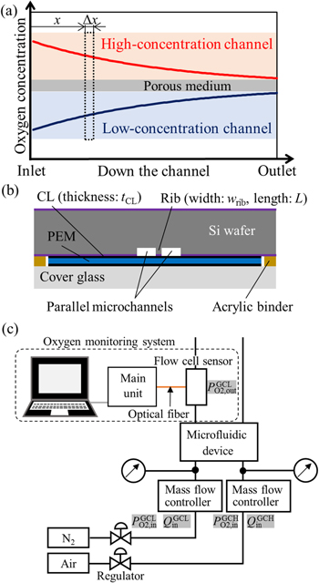 Investigation of Gas Transport Properties of PEMFC Catalyst Layers ...