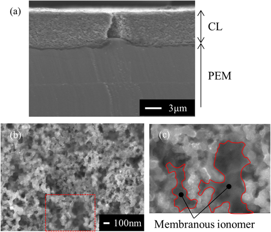 Investigation of Gas Transport Properties of PEMFC Catalyst Layers ...