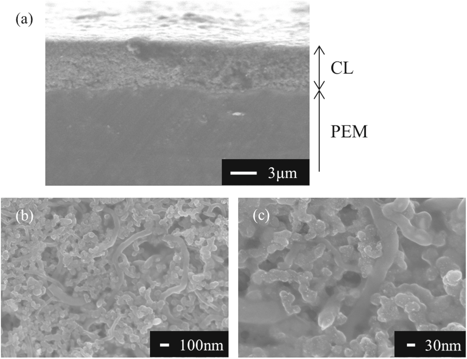 Investigation of Gas Transport Properties of PEMFC Catalyst Layers ...