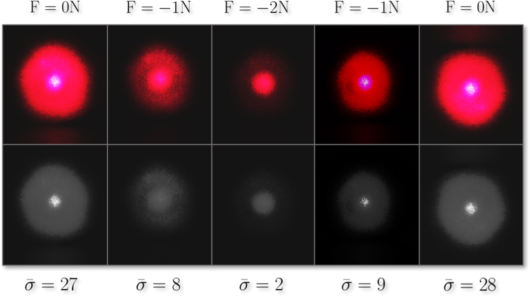 Image-Based Optical-Fiber Force Sensor for Minimally Invasive Surgery ...