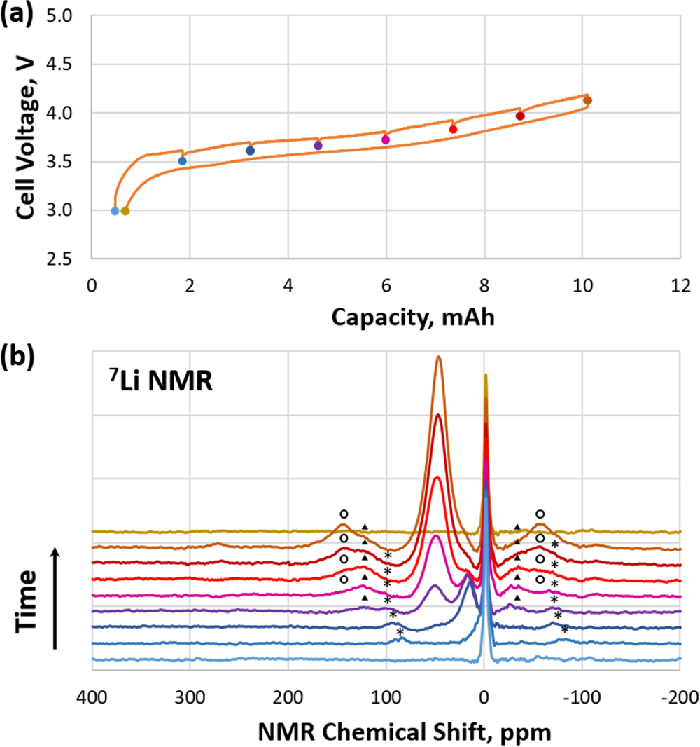 Real-Time Quantitative Detection of Lithium Plating by In Situ NMR ...