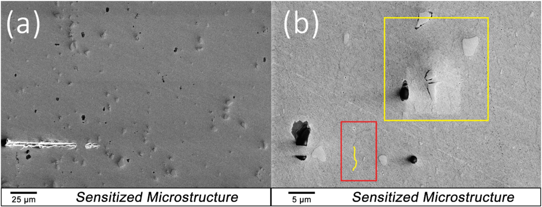 In-Situ Time-Lapse SKPFM Investigation of Sensitized AA5083 Aluminum Alloy to Understand ...