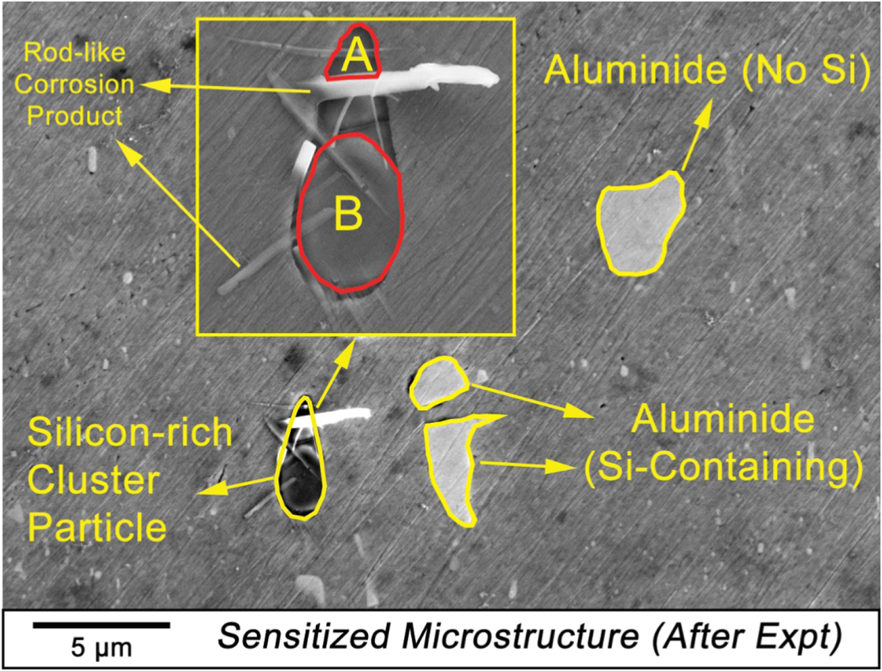 In-Situ Time-Lapse SKPFM Investigation of Sensitized AA5083 Aluminum Alloy to Understand ...