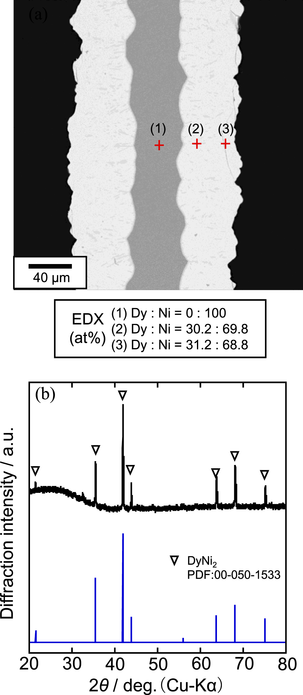 Electrochemical Formation of Dy–Ni Alloys in Molten CaCl2–DyCl3 ...
