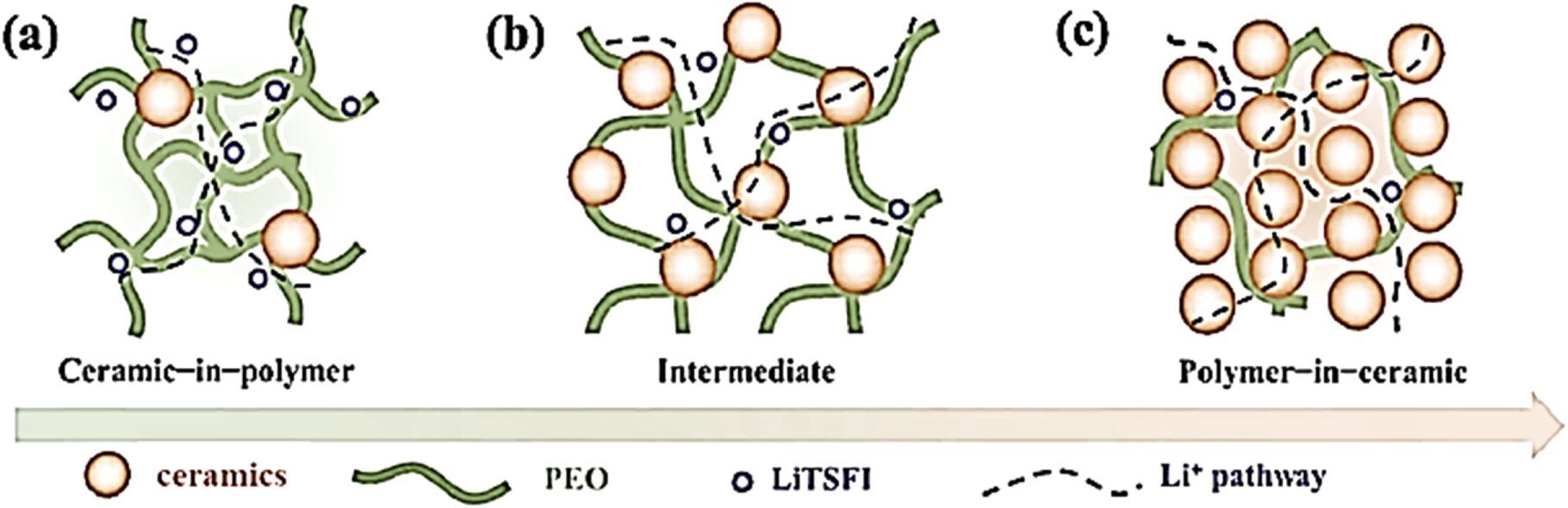 Review—Polymer/Ceramic Interface Barriers: The Fundamental Challenge ...