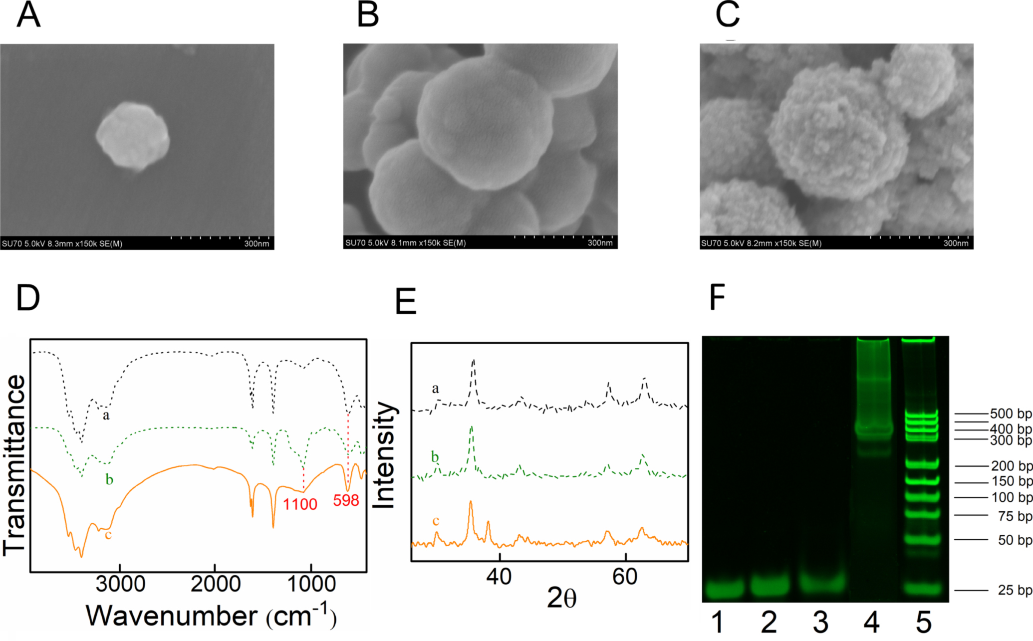 Dual-Modal Biosensor for the Determination of Femtomolar miRNA-126 ...