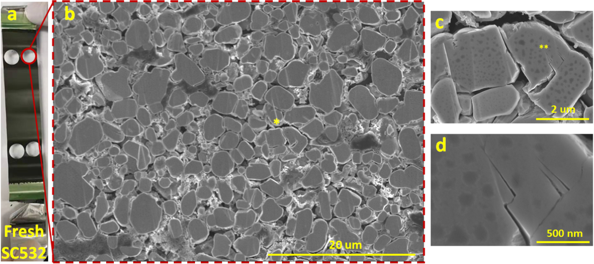 Microstructural Observations of “Single Crystal” Positive Electrode ...