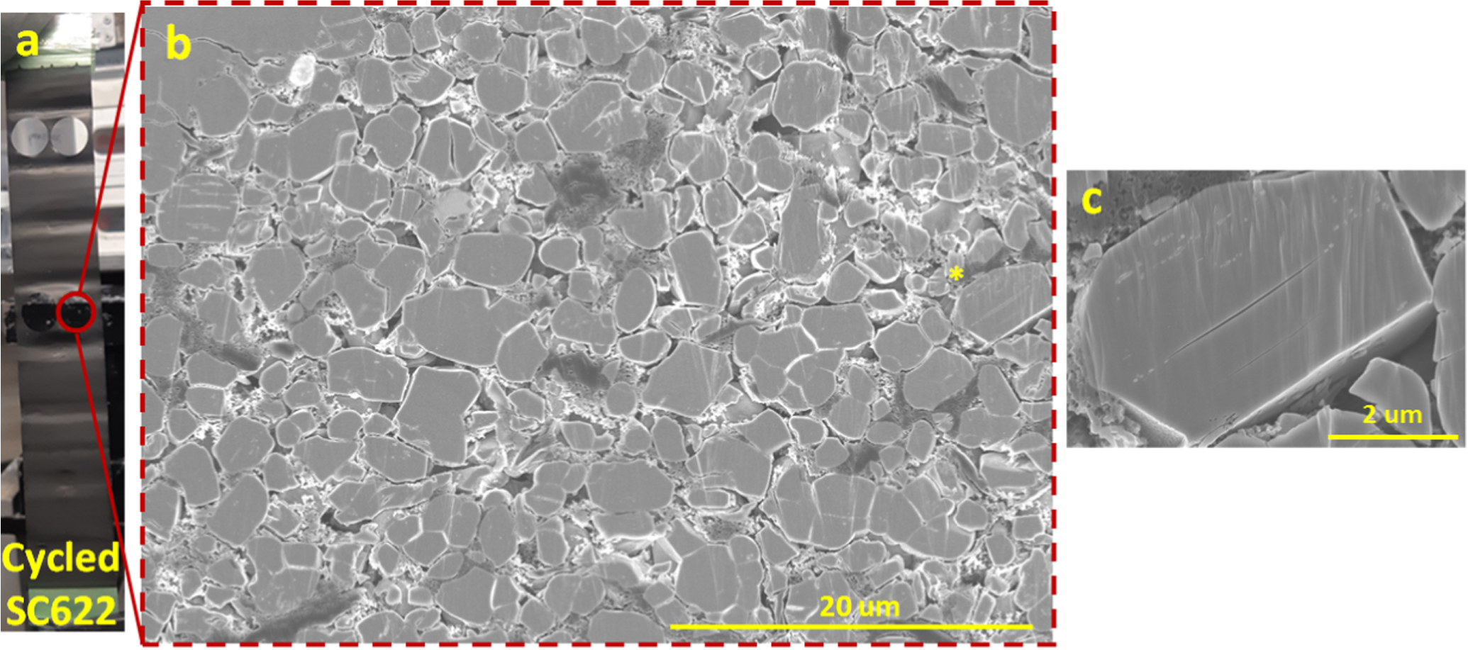 Microstructural Observations of “Single Crystal” Positive Electrode ...