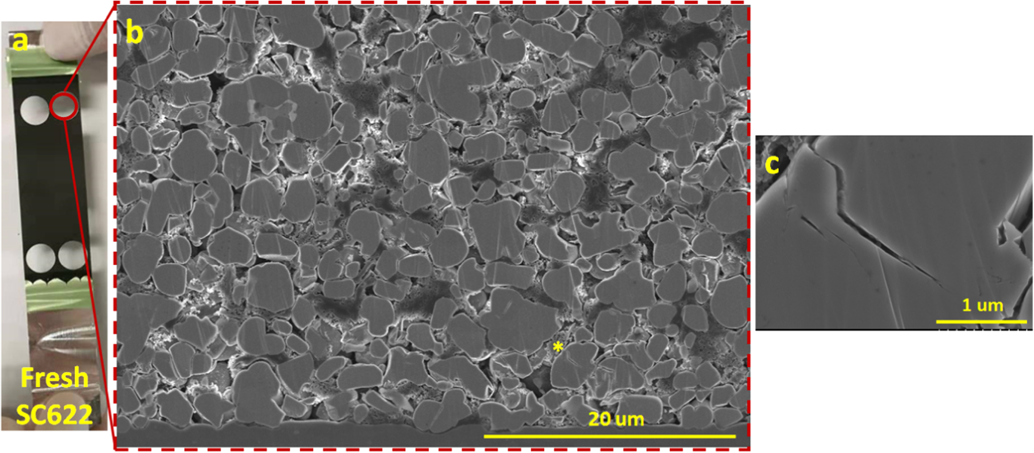 Microstructural Observations of “Single Crystal” Positive Electrode ...