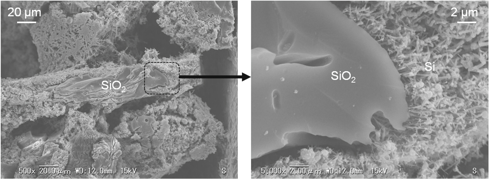 Electrochemical Preparation of Water-Reactive Silicon with Potential ...