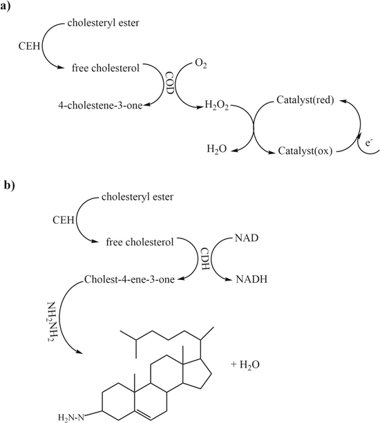 Review—Enzymatic Strips for Detection of Serum Total Cholesterol with ...