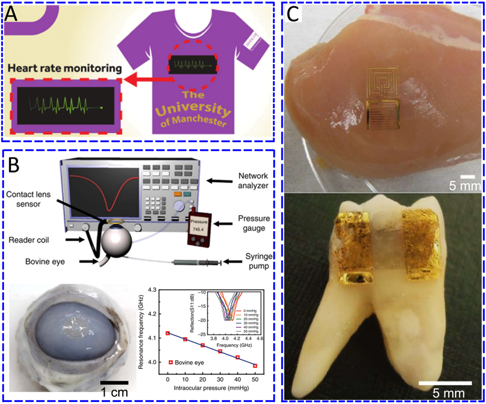 Review—Wearable Graphene Devices for Sensing - IOPscience