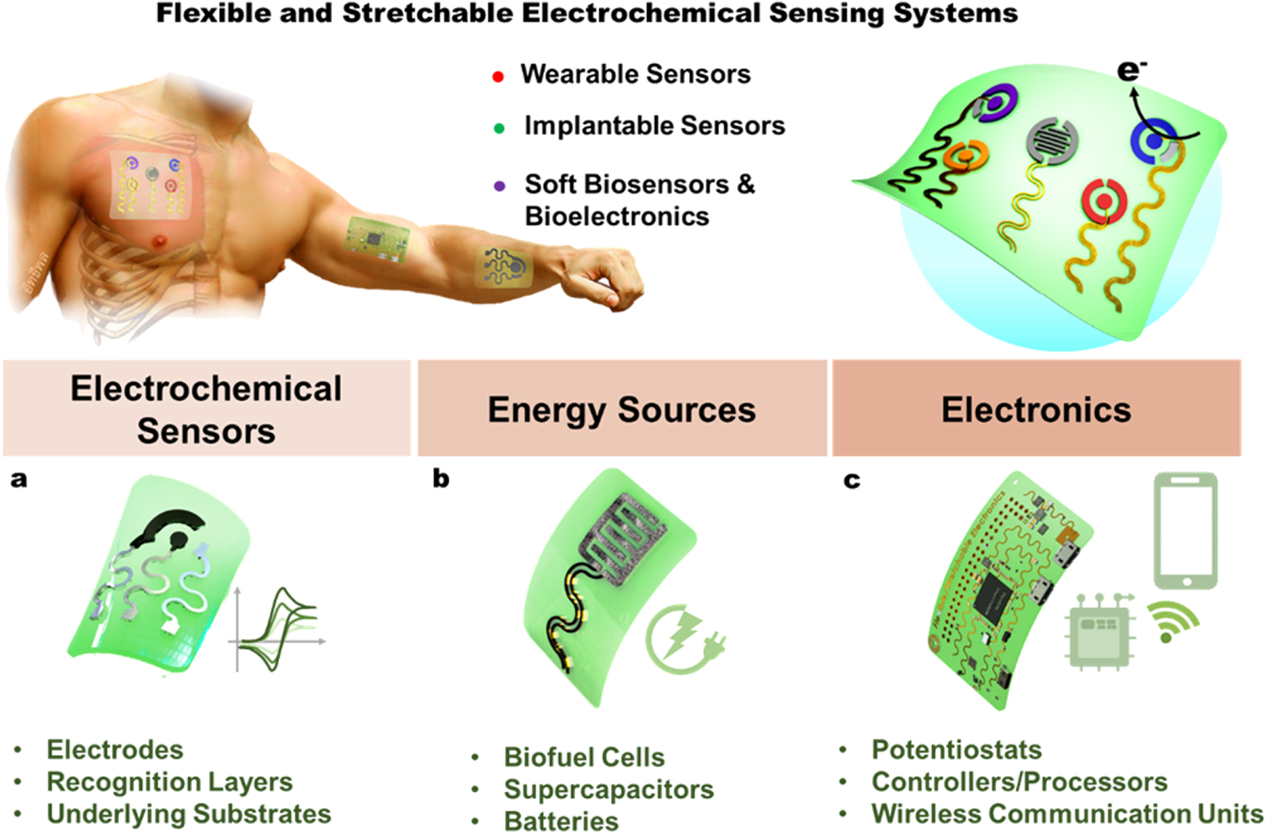 Review—Flexible and Stretchable Electrochemical Sensing Systems ...