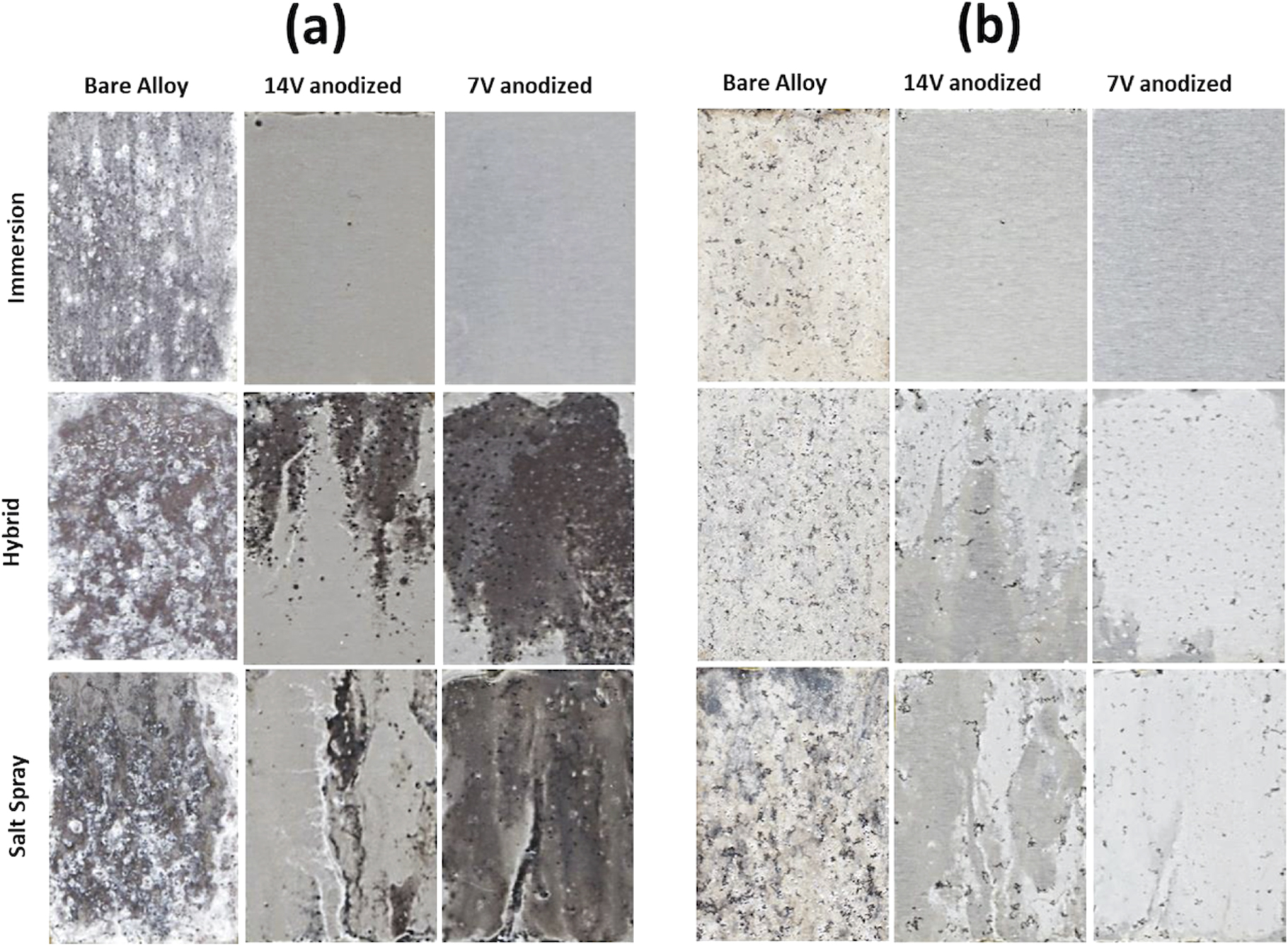 Corrosion Testing of Anodized Aerospace Alloys: Comparison Between ...